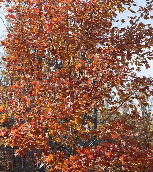 Home is Where the Heart Is - Celebrate Creativity