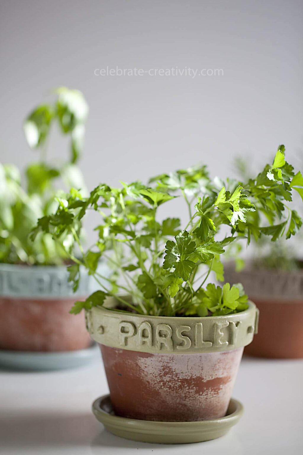 Handcrafted Clay Labels For Herb Pots | Celebrate Creativity