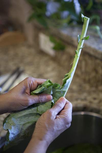 How to Cut Collard Greens | Celebrate Creativity