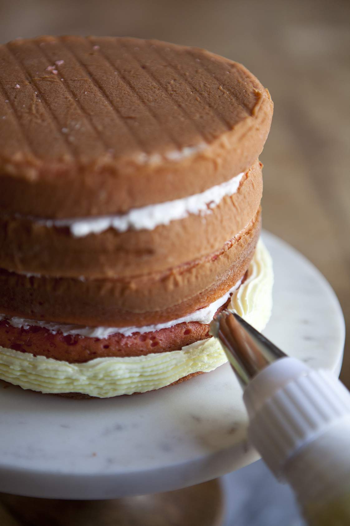 How to Frost a Cake | Celebrate Creativity