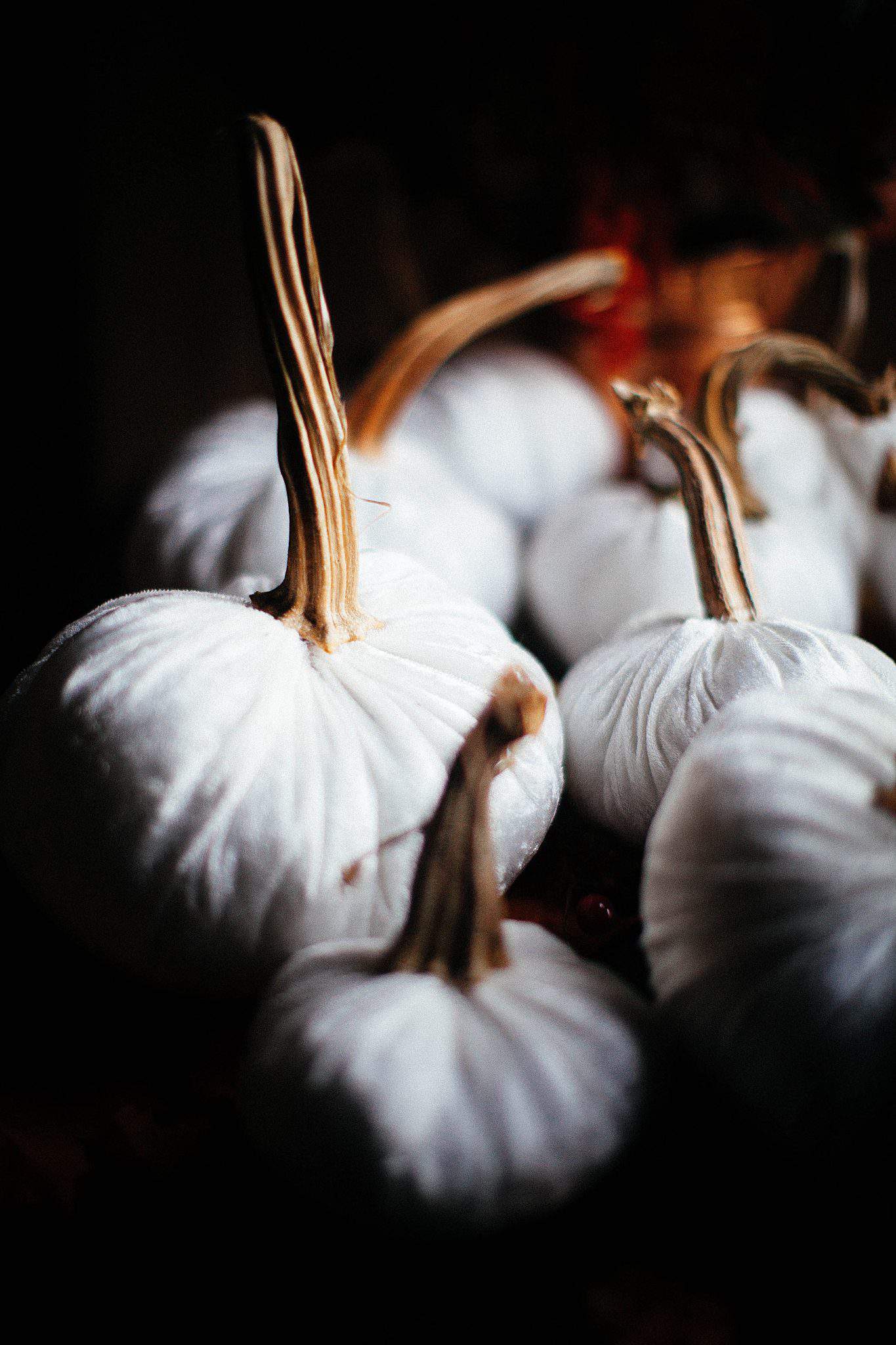 Soft Pumpkins With Real Stems | Celebrate Creativity