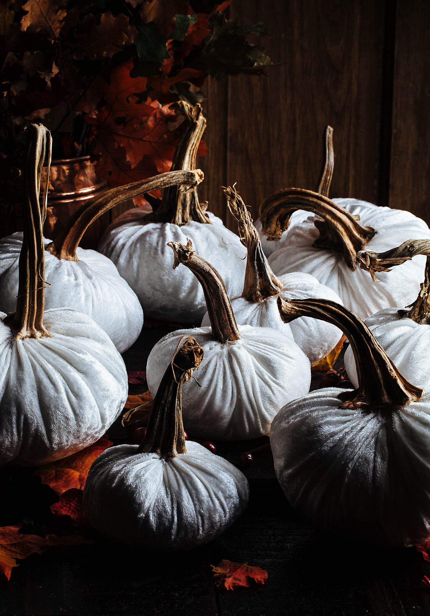 Soft Pumpkins With Real Stems | Celebrate Creativity