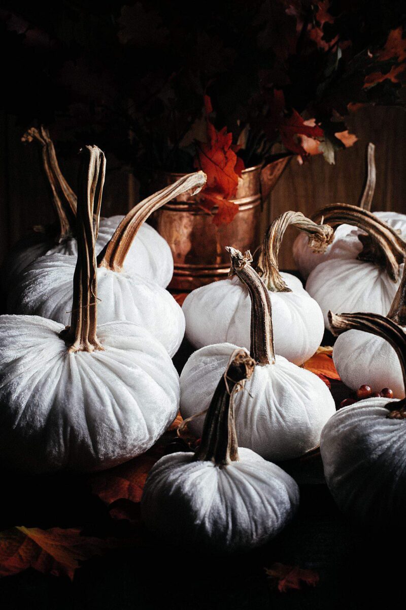 Soft Pumpkins With Real Stems | Celebrate Creativity