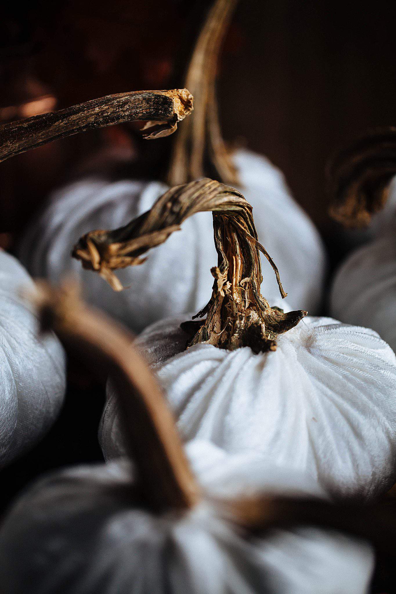 Soft Pumpkins With Real Stems | Celebrate Creativity