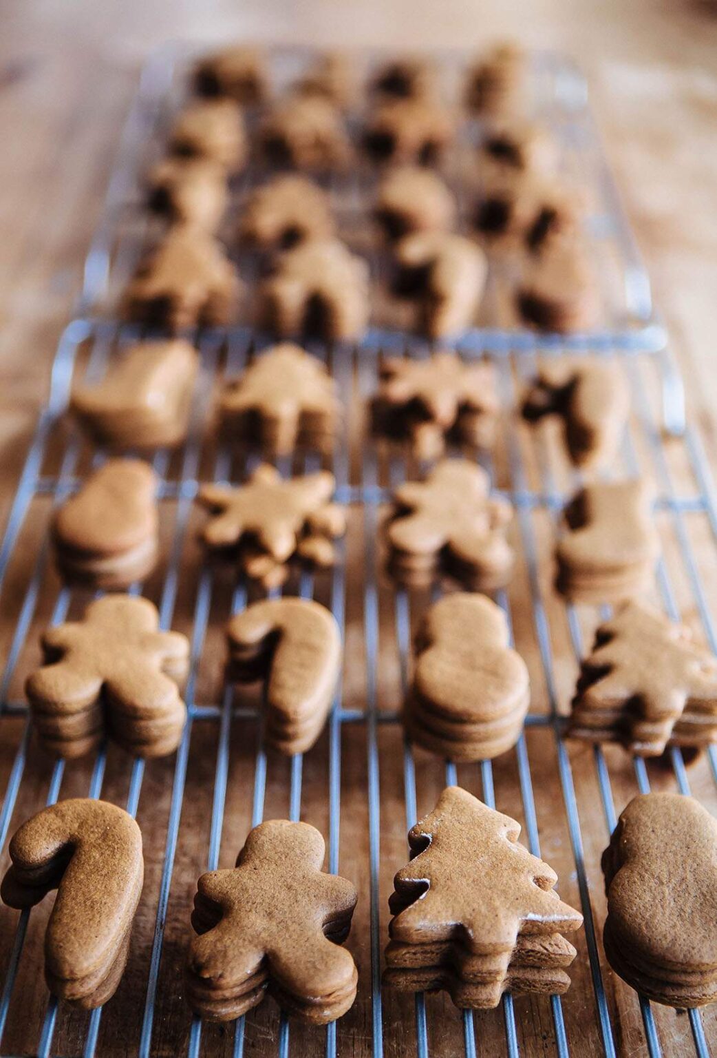 Gingerbread Minis | Celebrate Creativity