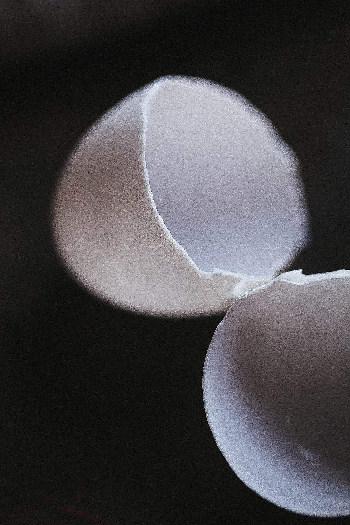 A Few Fun Facts About Duck Eggs | Celebrate Creativity