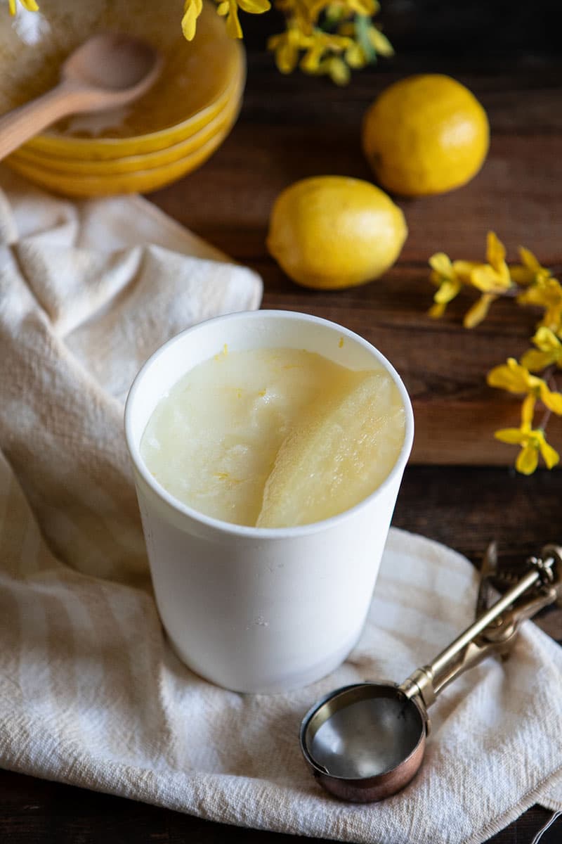 Homemade Lemon Sorbet | Celebrate Creativity
