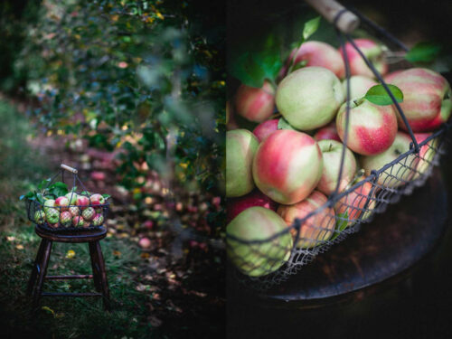 Pastry-Covered Baked Apples | Celebrate Creativity
